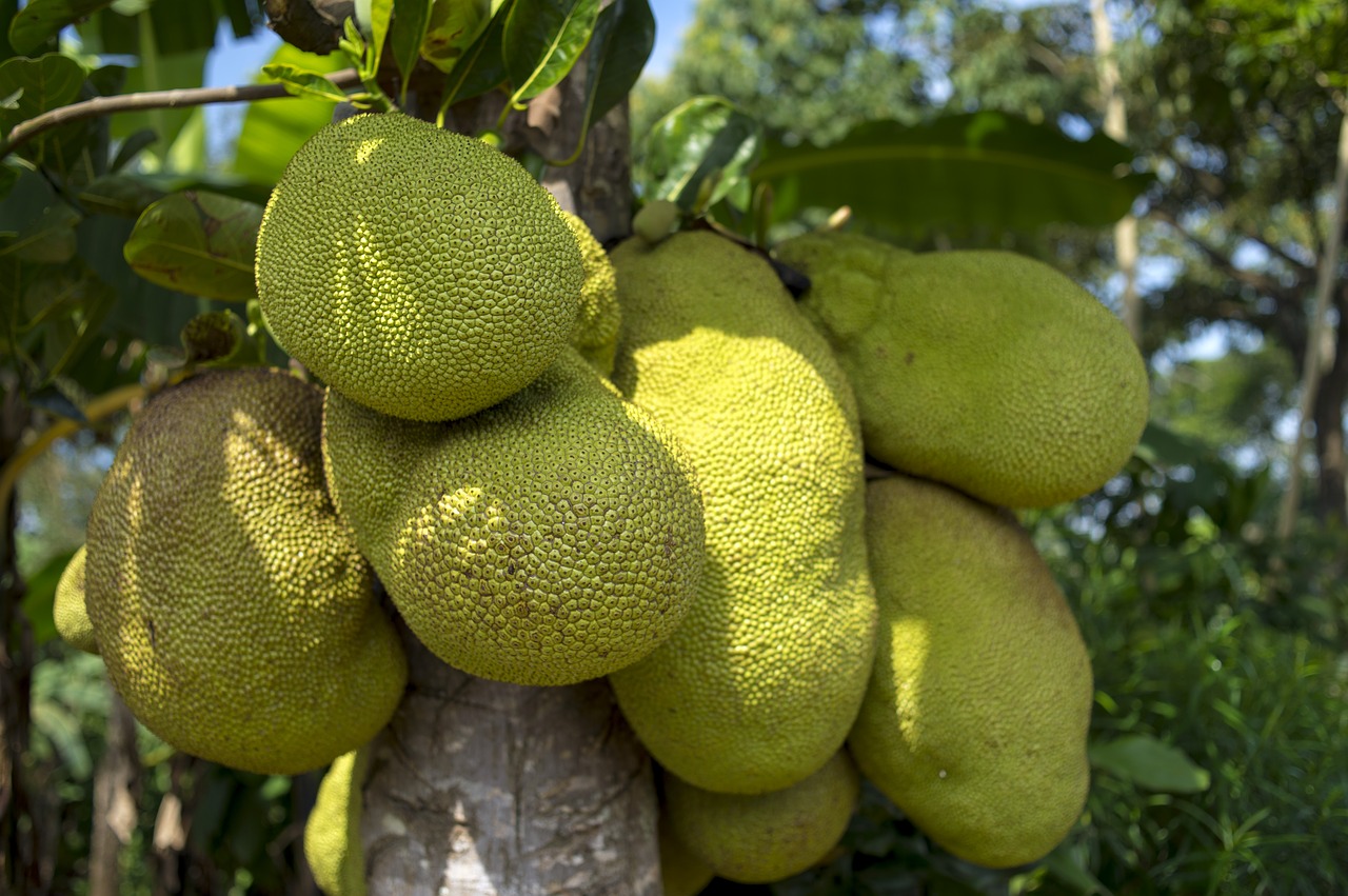 English Vocabulary: Fruits (Buah-Buahan) | Sederet.com